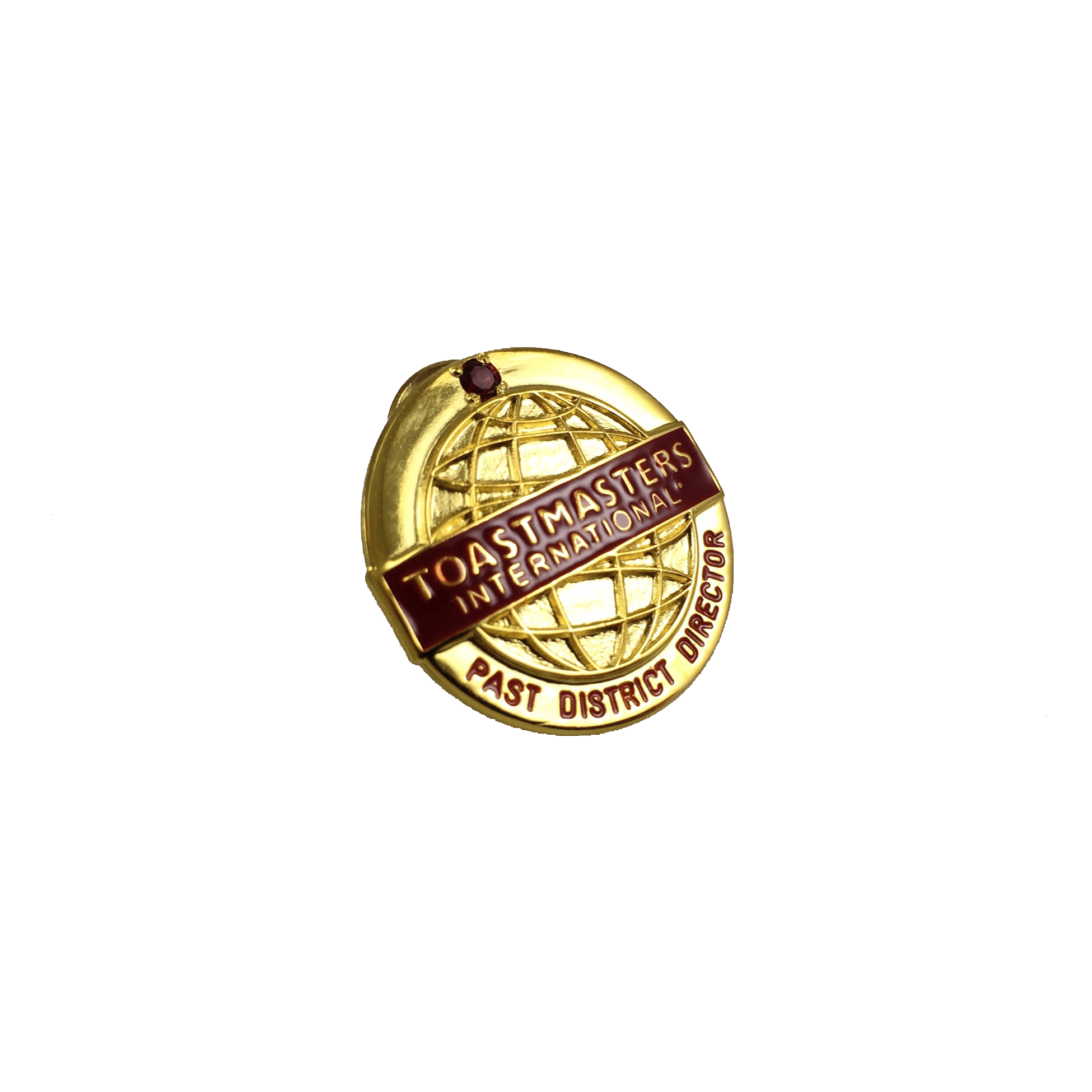 Immediate Past District Director – Toastmasters UK North & Ireland